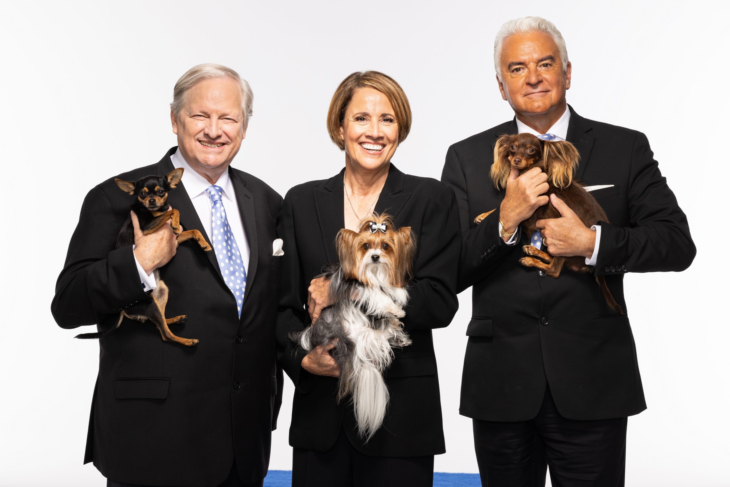 2022 National Dog Show Hosts Competitors Get Their Game Face On Pet Age