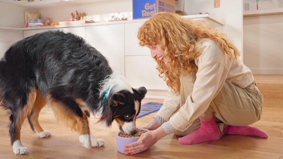 Get Real Chewy Launches Fresh Dog Food, Customizable as Full Meals or ...